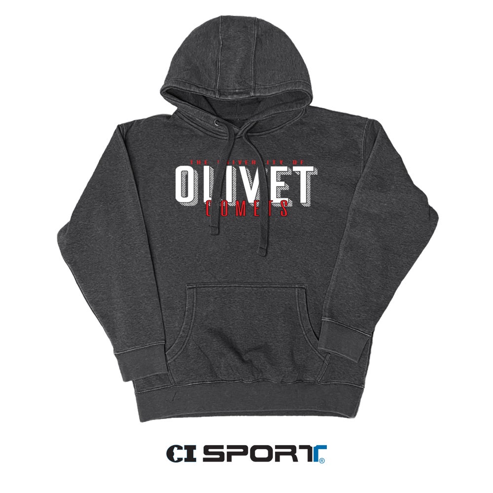 CISport Throwback Hoodie The University of Olivet | The University of ...